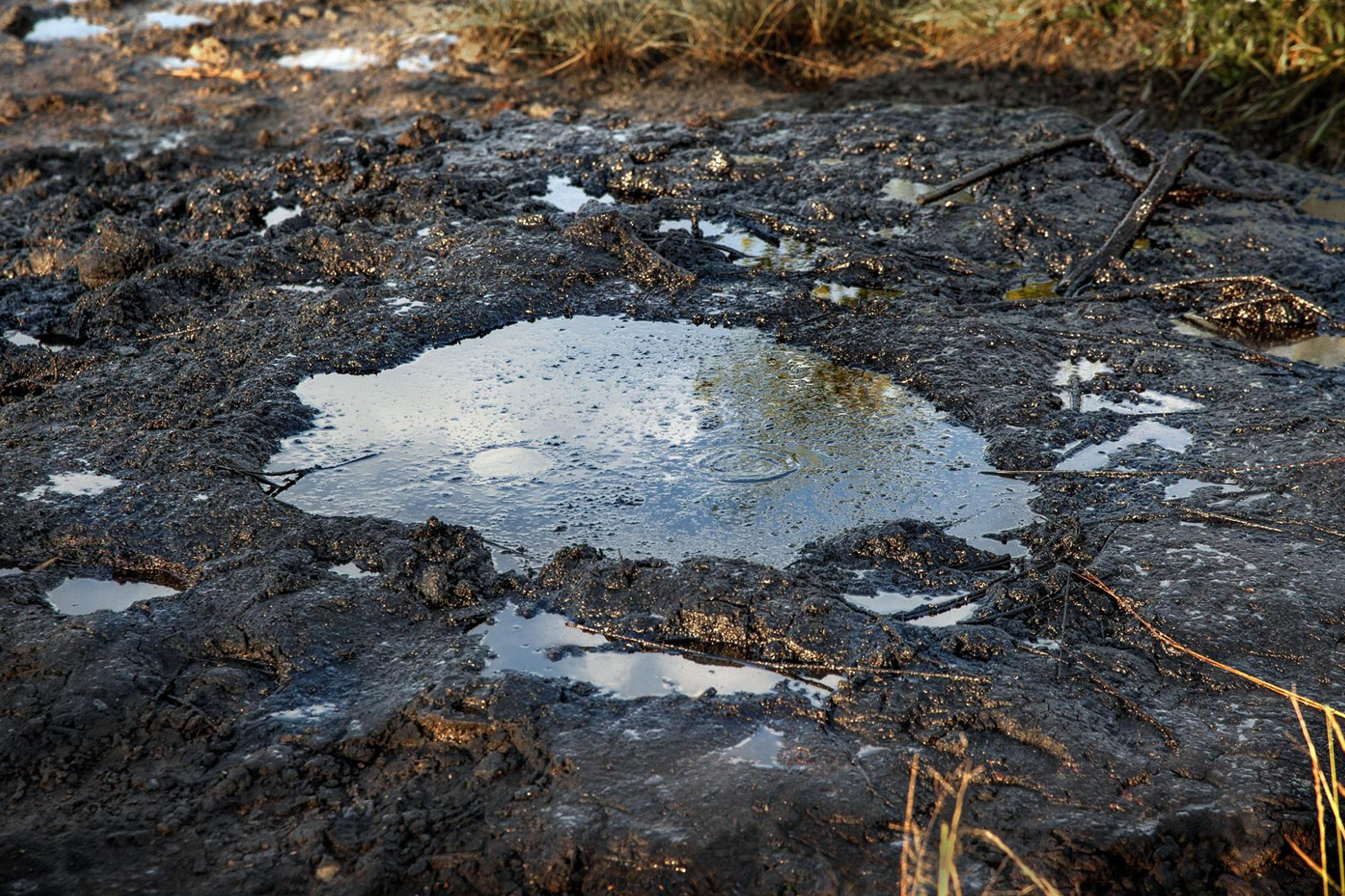 12 Common Pollution Liability Claims Contractors Should Know | KASE